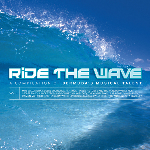 Artist Profile - Ride the Wave - Pictures