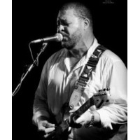 Artist Profile - Dave Roy - Bio