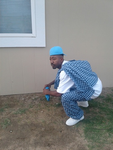 Artist Profile - J WRIGHT - Pictures